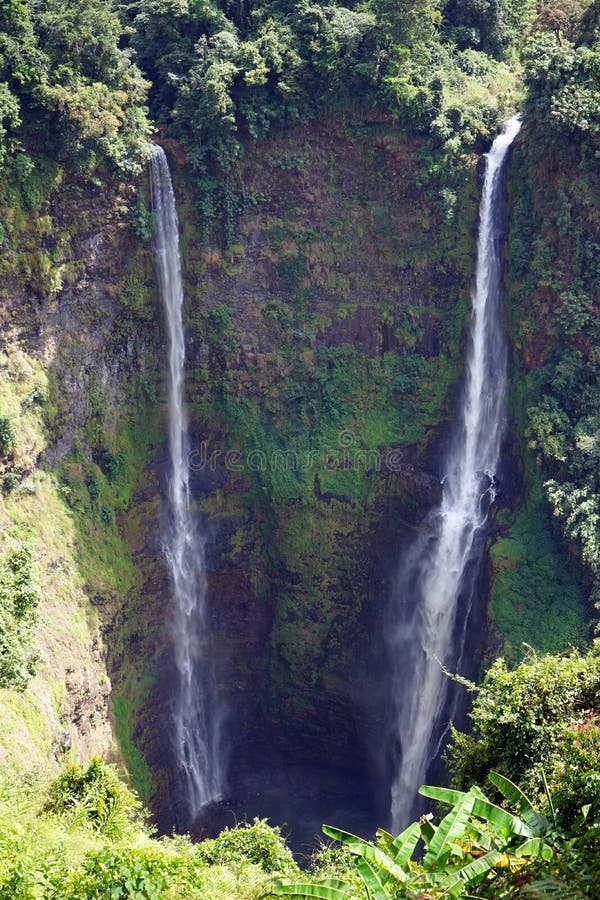 Tad Fane waterfall stock image. Image of fane, tree, rock - 85492563
