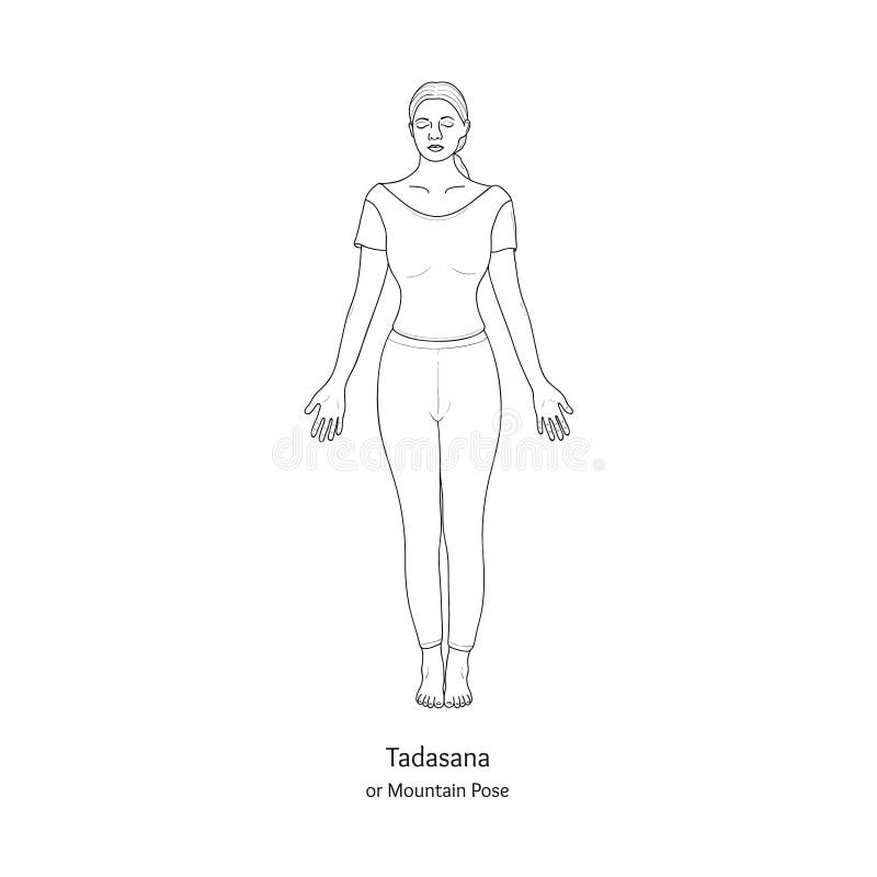 Tadasana or Mountain Pose. Palms Forward Variation. Vector Stock Vector ...