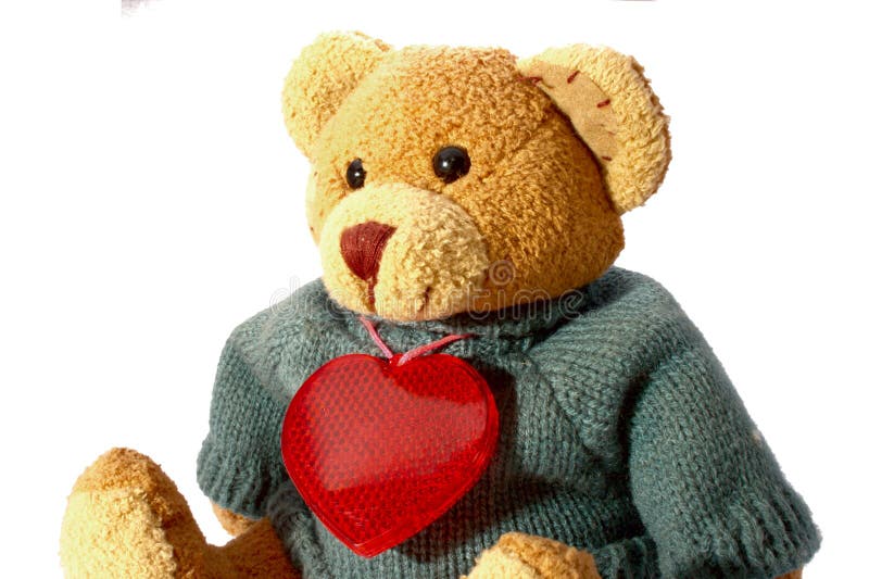 Taddy Bear - Free Photo from StockFreeImages