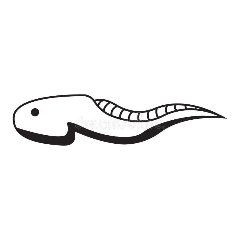 Tadpole icon vector stock vector. Illustration of animal - 307232207