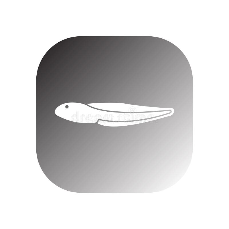 Tadpole icon vector stock vector. Illustration of pictogram - 307232348
