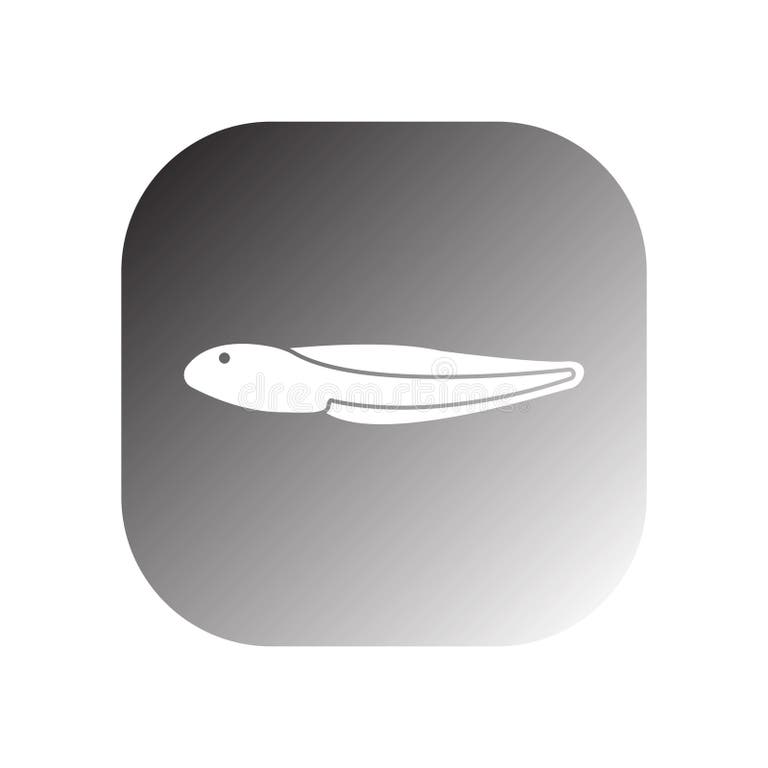 Tadpole icon vector stock vector. Illustration of pictogram - 307232348