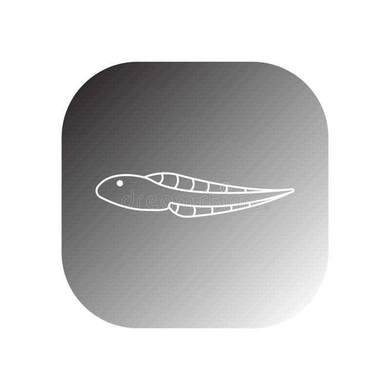 Tadpole icon vector stock vector. Illustration of pictogram - 307232412