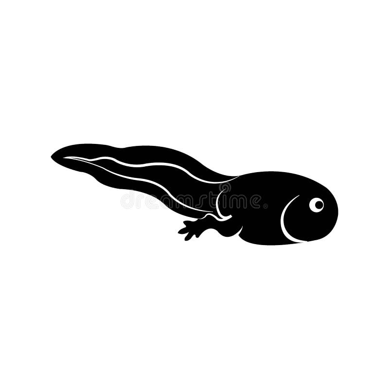 Tadpoles Icon Logo Vector Design Stock Illustration - Illustration of ...