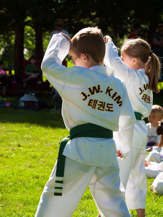 Tae Kwon Do editorial photo. Image of rocky, child, sport - 42064561