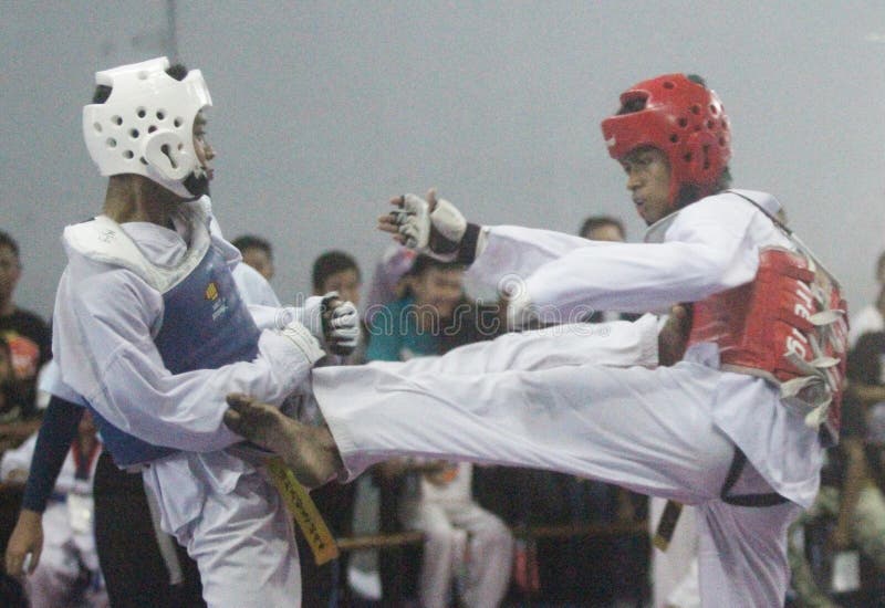 Tae Kwon Do editorial stock image. Image of park, blue - 42065469