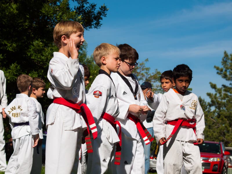 Deportista De Tae-kwon-do Haciendo Una Pose Completa Imagen de archivo ...