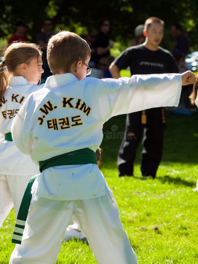 Deportista De Tae-kwon-do Haciendo Una Pose Completa Imagen de archivo ...