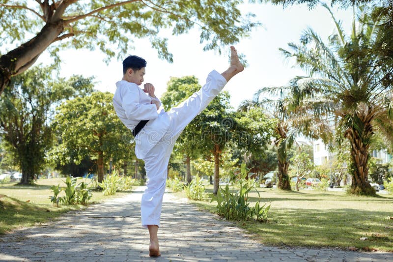 Taekwondo Athlete Doing High Kick Stock Image - Image of class ...