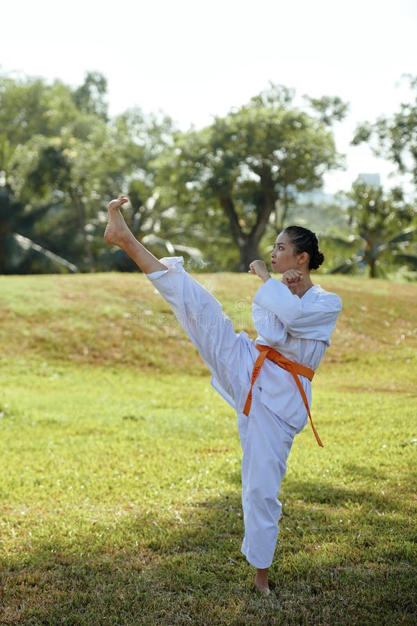 Taekwondo Athlete Doing High Kick Stock Image - Image of training ...