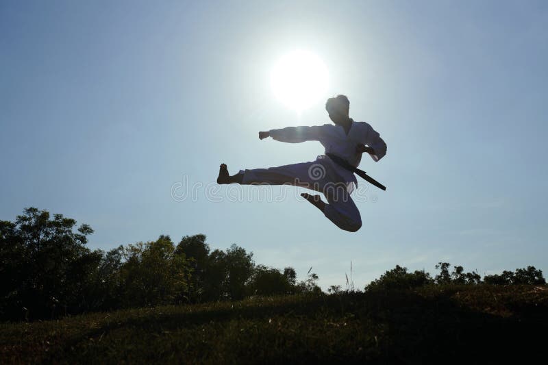 Taekwondo Athlete Doing Jump Kick Stock Photo - Image of athlete ...