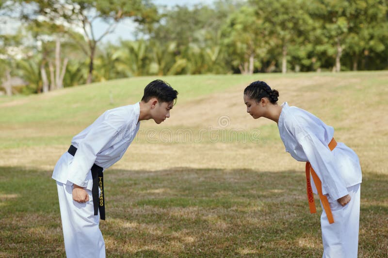 Taekwondo Athletes Bowing Each Other Stock Photo - Image of orange ...