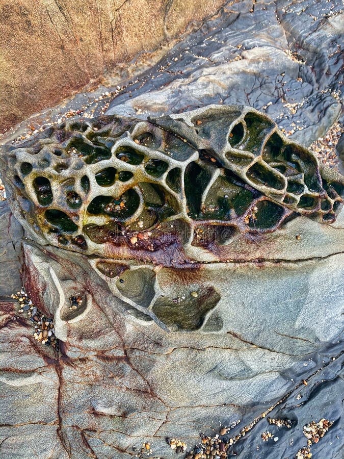 Tafoni Rocks, Bean Hollow State Beach, California Stock Image - Image ...