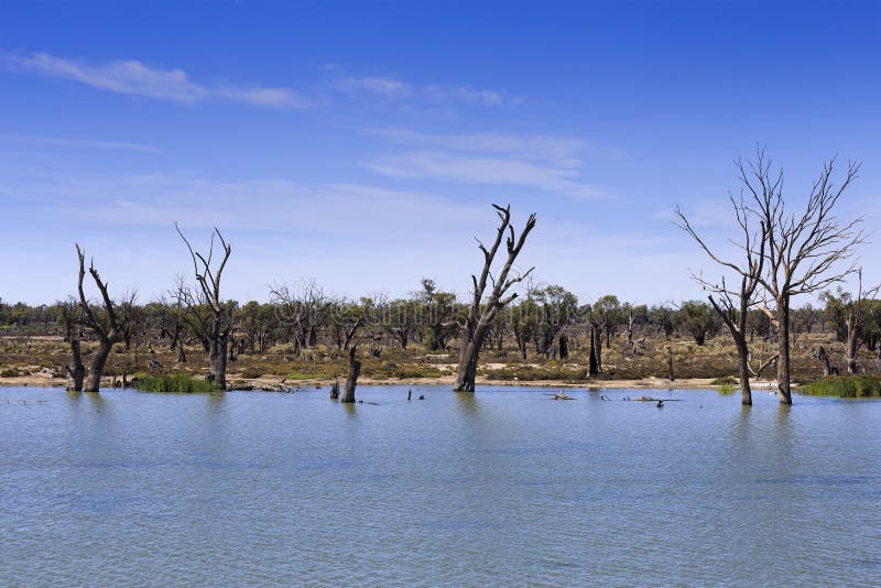 Tag SA Murray River stockbild. Bild von nave, australien - 67353929