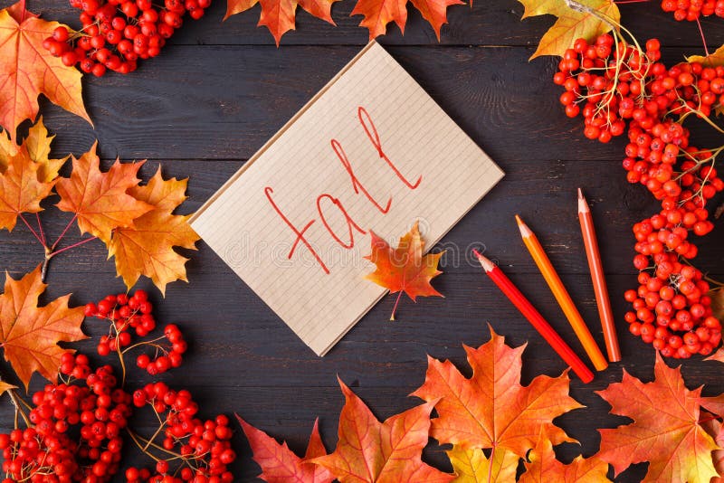 Tag with the Words Fall and a Colorful Autumn Leaf in the Background ...