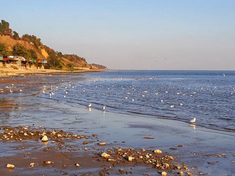 Taganrog stock photo. Image of blackandwhite, mood, taganrog - 122943214