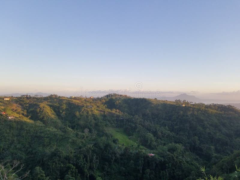 109 Tagaytay Trees Stock Photos - Free & Royalty-Free Stock Photos from ...