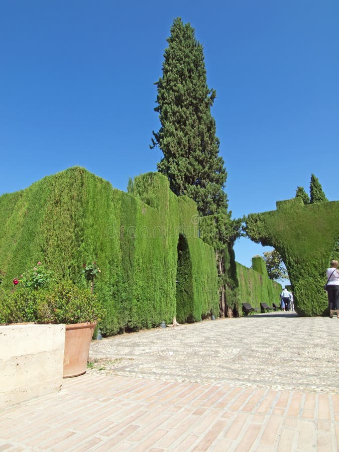 Tagli Il Cespuglio in Giardini Di Alhambra, Fotografia Stock - Immagine ...