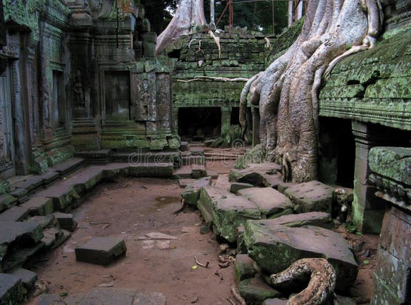 Tah Prohm roots stock photo. Image of sacre, site, reap - 19085806
