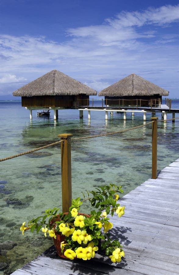 Tahiti - French Polynesia - South Pacific Stock Photo - Image of french ...