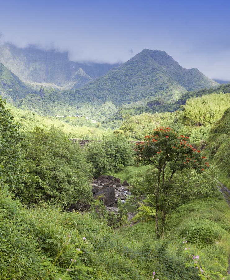 Tahiti. Polynesia stock photo. Image of nature, famous - 236706966