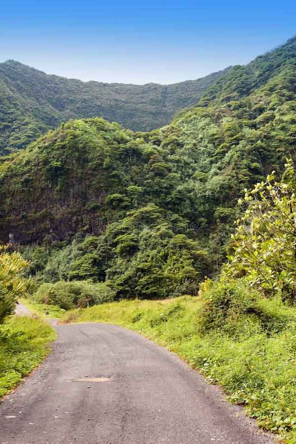 Tahiti.Tropical Nature and Mountain River Against the Cloudy Sky Stock ...