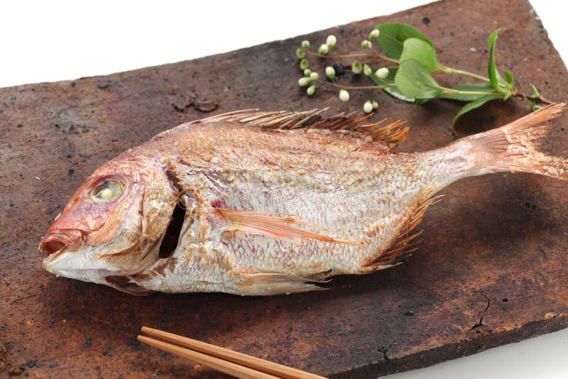 A Red Sea Bream Grilled with Salt Stock Photo - Image of celebration ...