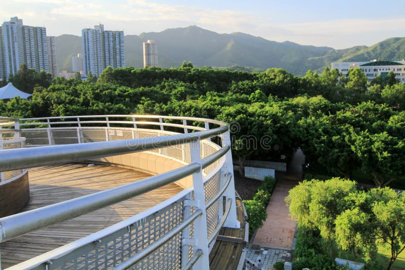 A Tai Po Waterfront Park in Hong Kong Stock Image - Image of pathway ...