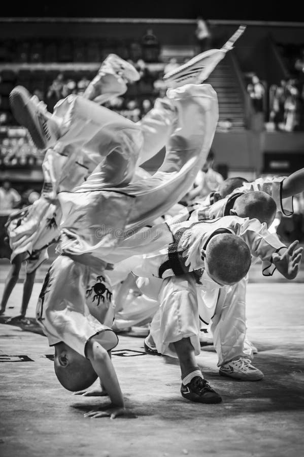Wushu gun shu performance editorial photo. Image of china - 15803046