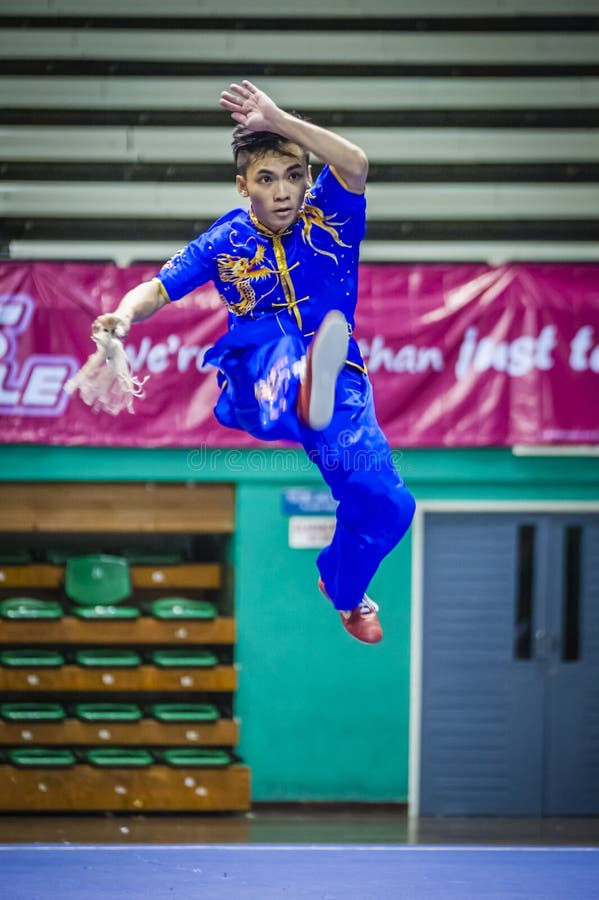 Taichi Wushu editorial image. Image of arts, performers - 55495690