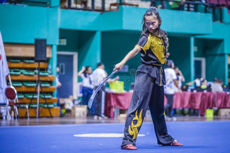 Taichi Wushu editorial stock image. Image of people, taichi - 55790869