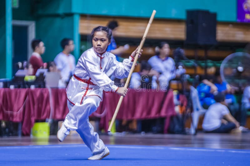 Taichi Wushu editorial stock image. Image of performance - 55807374