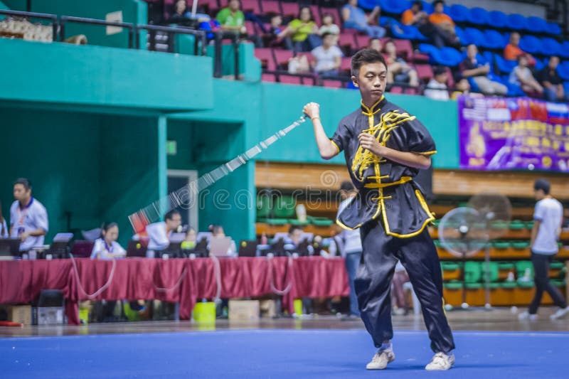 Taichi Wushu editorial image. Image of actions, power - 55807490