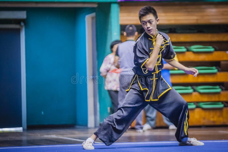 Taichi Wushu editorial stock image. Image of performance - 55807504
