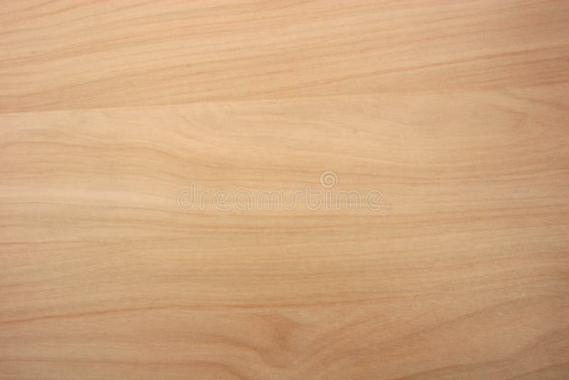 Taiga Birch Wood Grain Texture Stock Photo - Image of grain, macro ...