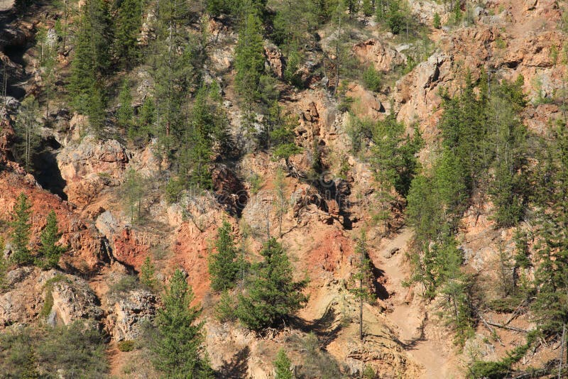 Taiga stock photo. Image of russia, east, outdoors, aerial - 84009156