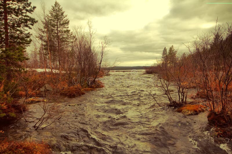 Taiga flowing spring river stock photo. Image of flood - 51546002