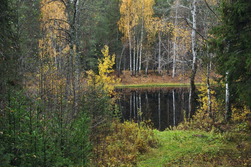 Taiga lake stock image. Image of night, blue, autumn - 78718983