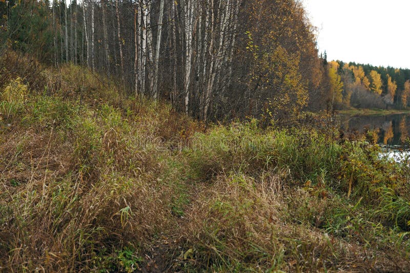 Taiga lake stock image. Image of outdoors, sunset, gradient - 78719601