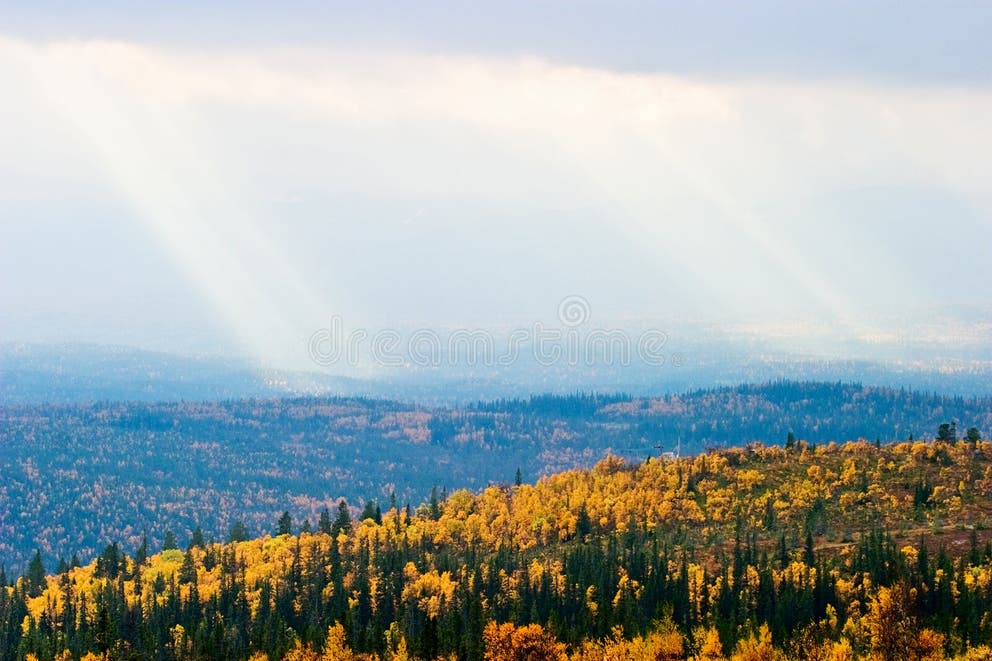 Taiga landscape stock photo. Image of primary, deciduous - 14822394