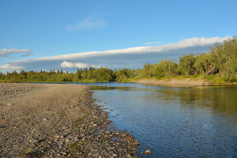 Taiga river stock image. Image of virgin, hiking, nature - 201120277