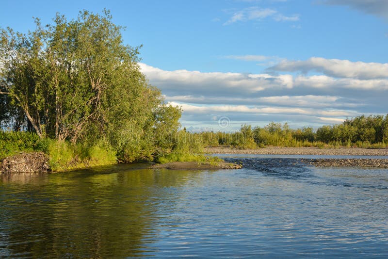 Taiga river stock image. Image of ural, outdoor, view - 201120281