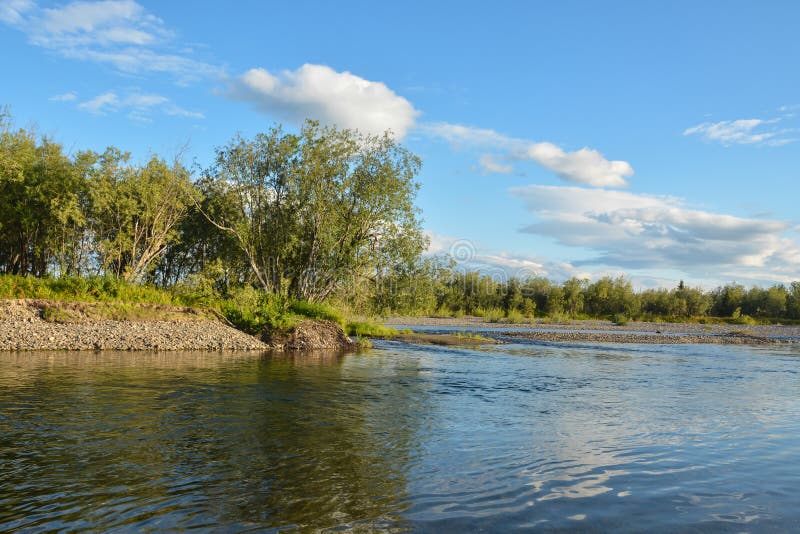 Taiga river stock photo. Image of trip, russia, view - 201120288