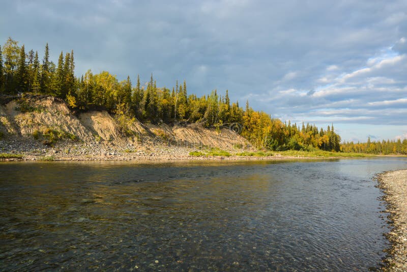 Taiga river stock photo. Image of taiga, outdoors, outdoor - 201120328
