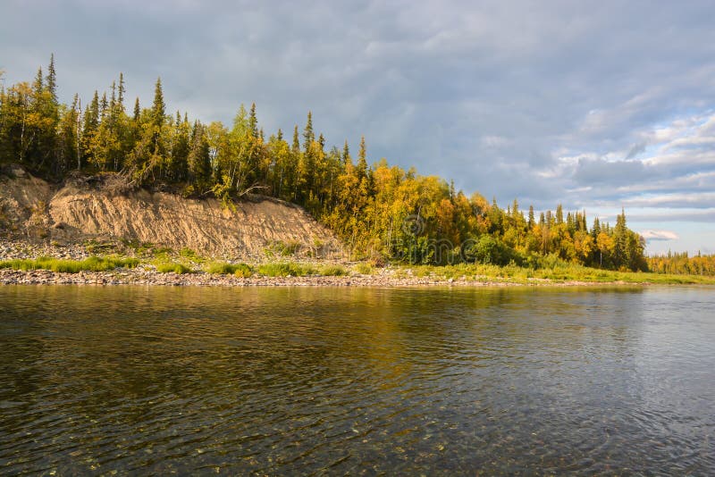 Taiga river stock photo. Image of tree, scenery, polar - 201120338