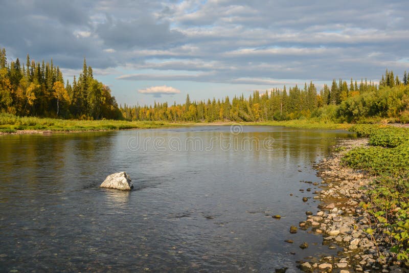 Taiga river stock image. Image of nature, beautiful - 201120351