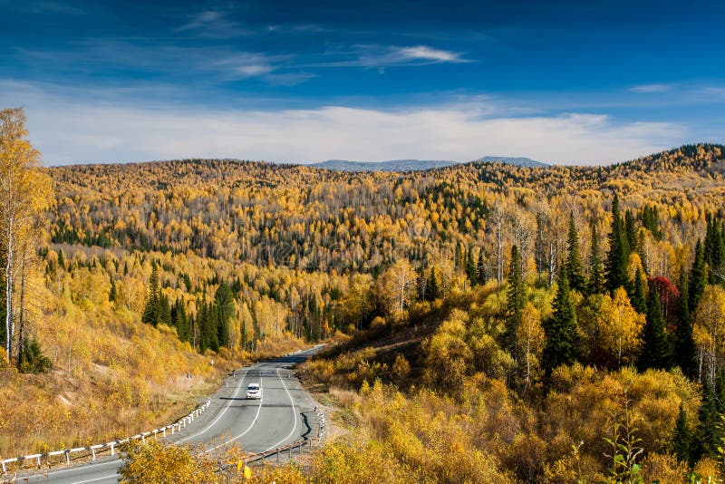 Taiga stock image. Image of space, autumn, forest, road - 54031655