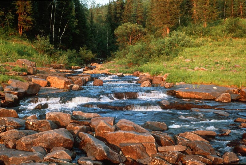 Taiga stream stock image. Image of forest, river, small - 34233425