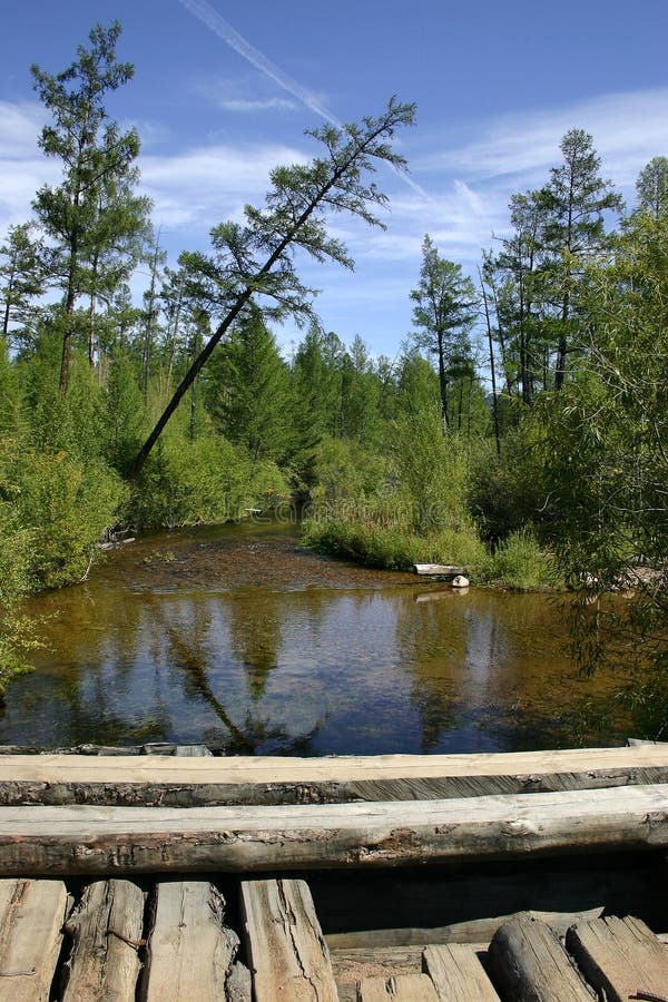 Taiga stream stock photo. Image of white, small, forest - 34560004