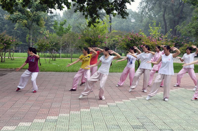 Taiji editorial stock image. Image of forest, tree, work - 21082159